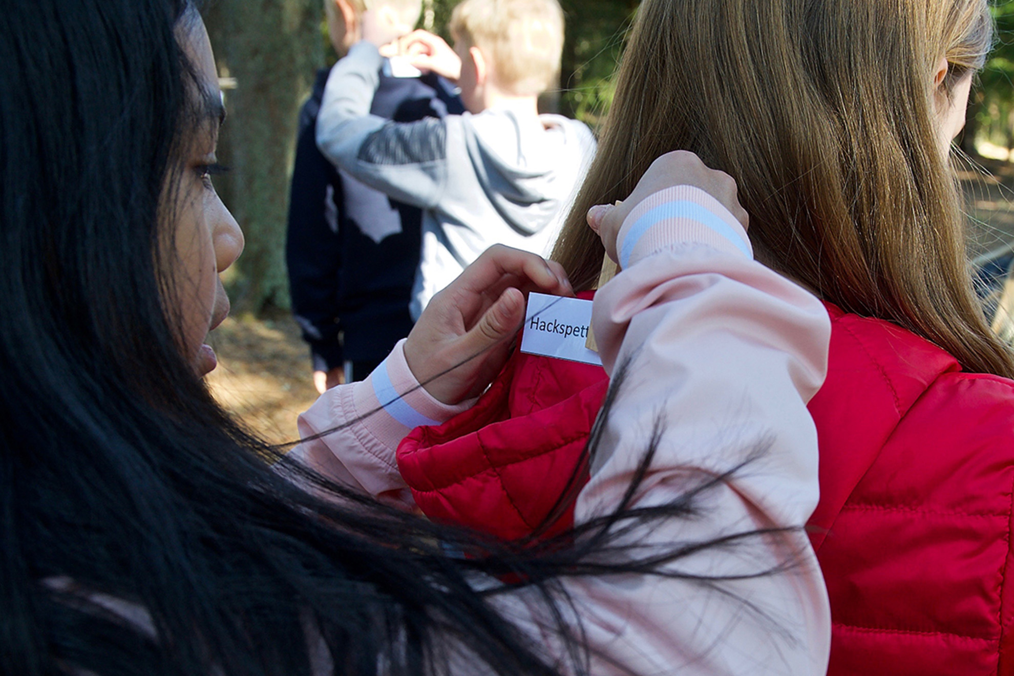 Föreningen ”Skogen i skolan” firar 50 år – Billerud har varit med sedan ...