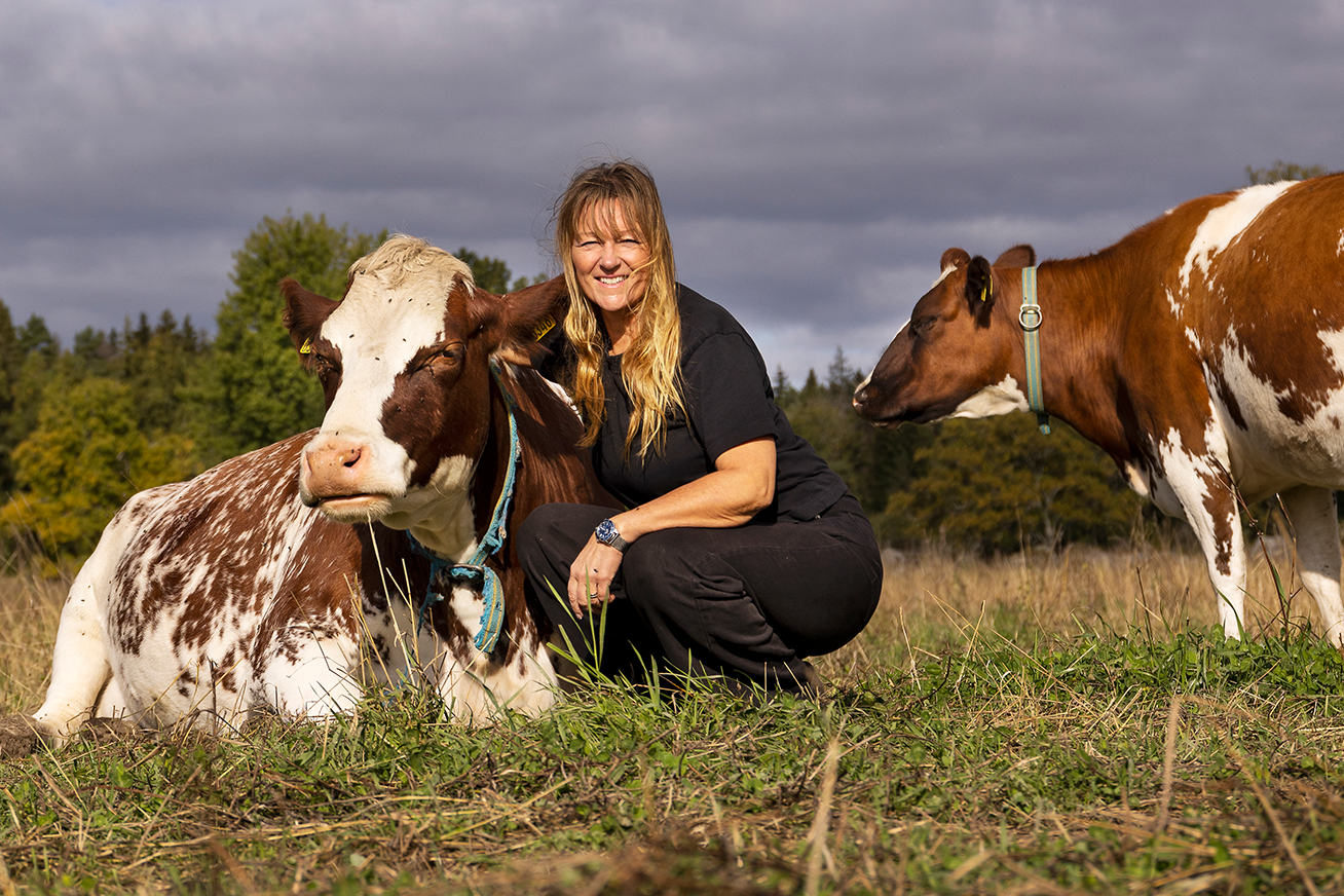 ”Skogen är hjärtat i verksamheten"