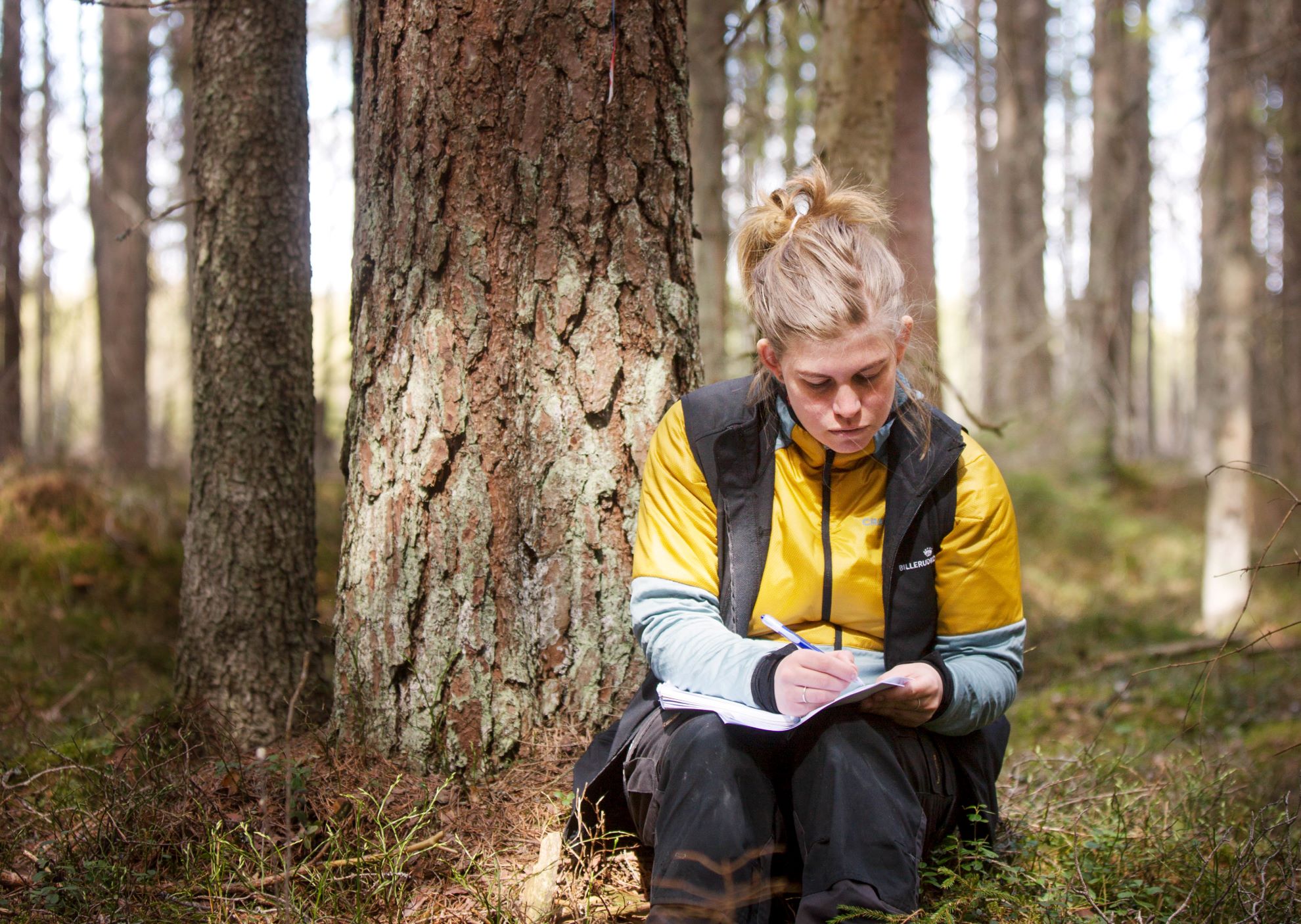 Ta hand om dina diken