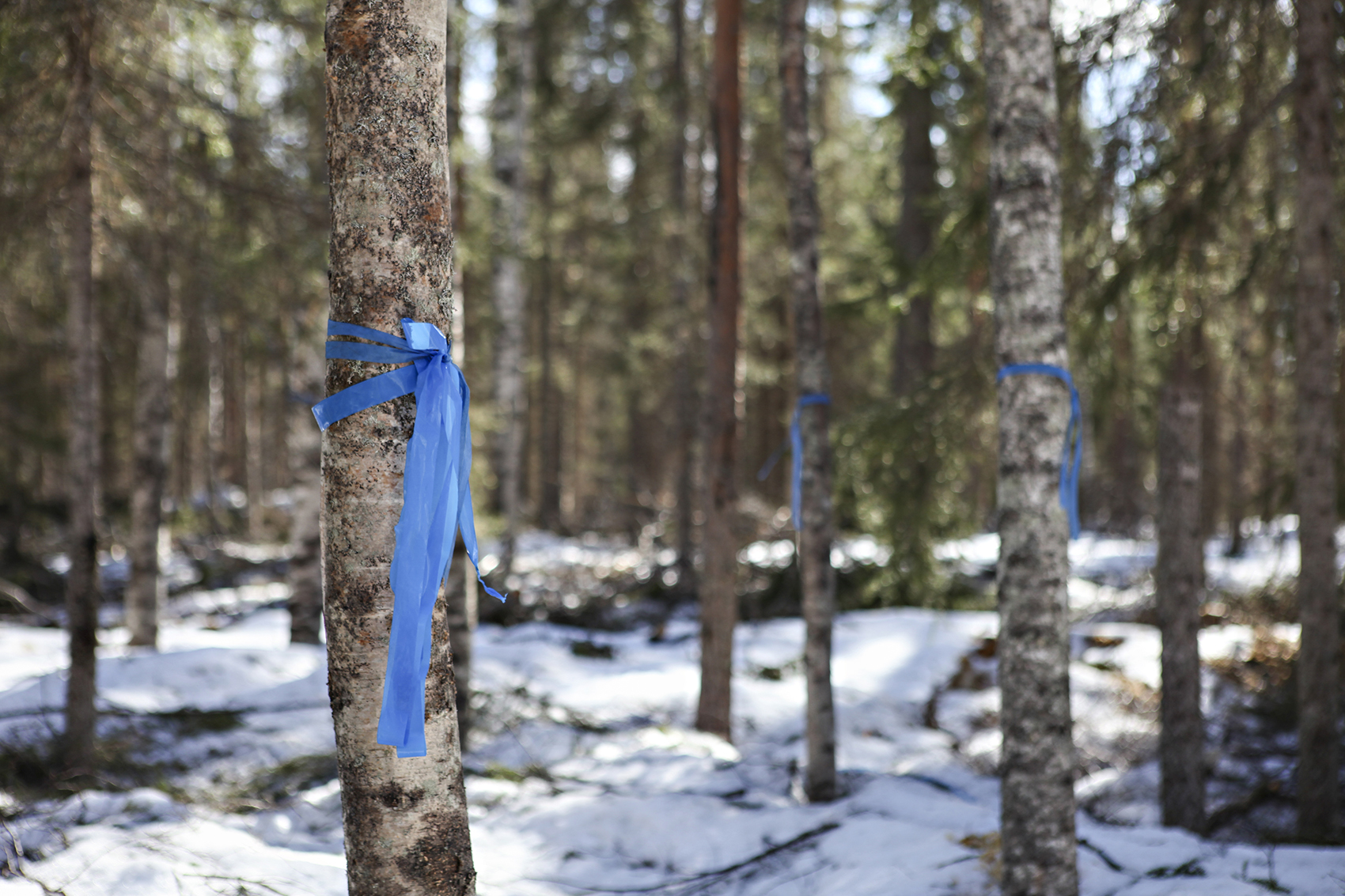 Planera stickvägar