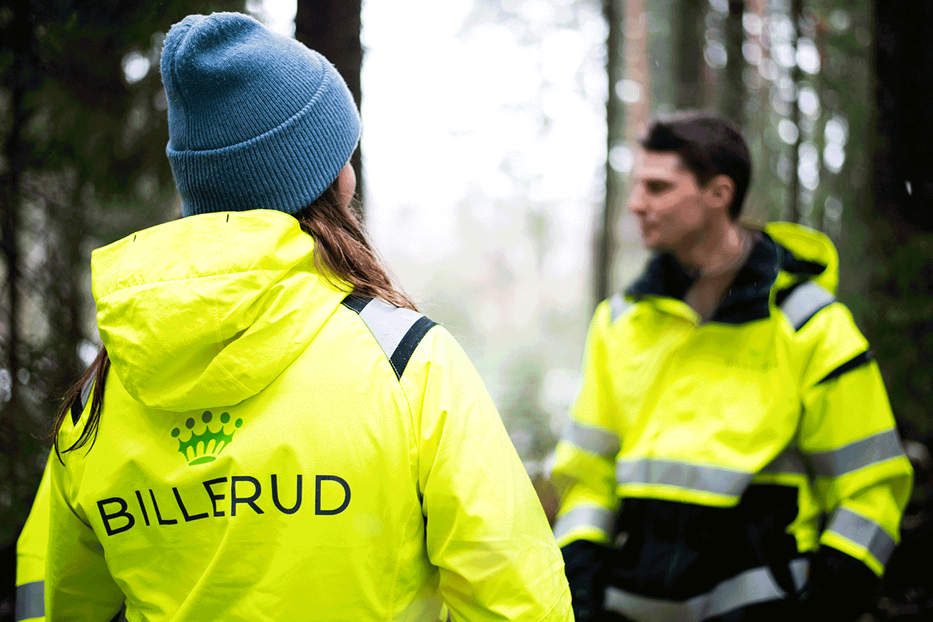 Viol - nytt affärssystem för skogsbranschen