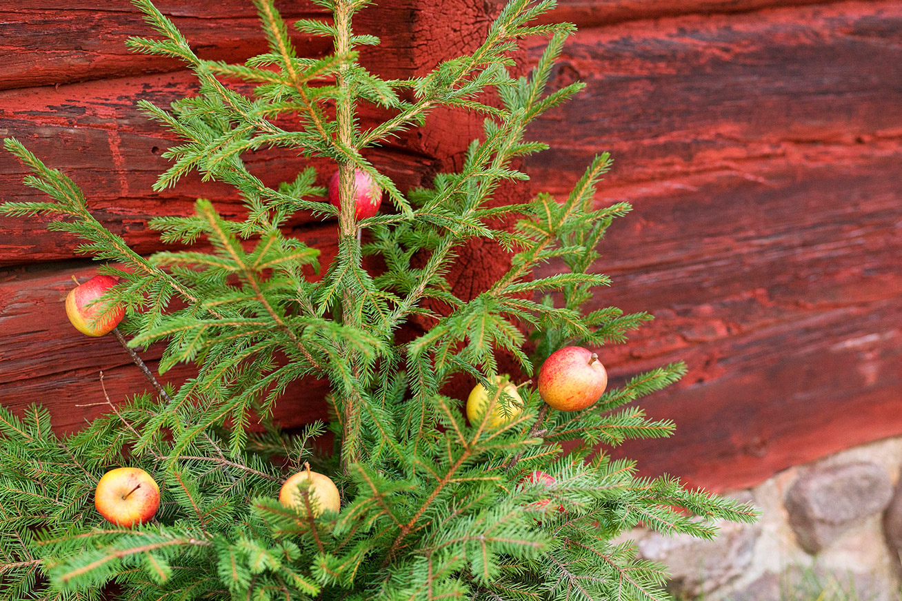 Julgranen genom tiderna – Billerud